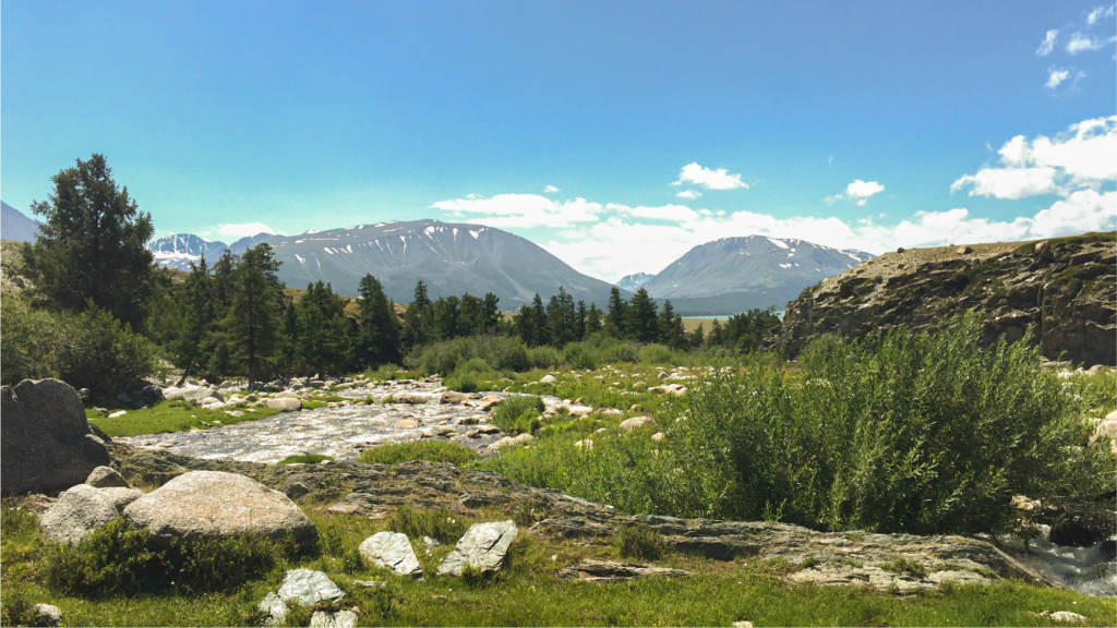 Steppe Copper Slider2 - Steppe Copper